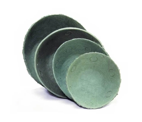 Hippophae rhamnoides 'Hergo' - rakitovec, peščeni trn, ženska rastlina